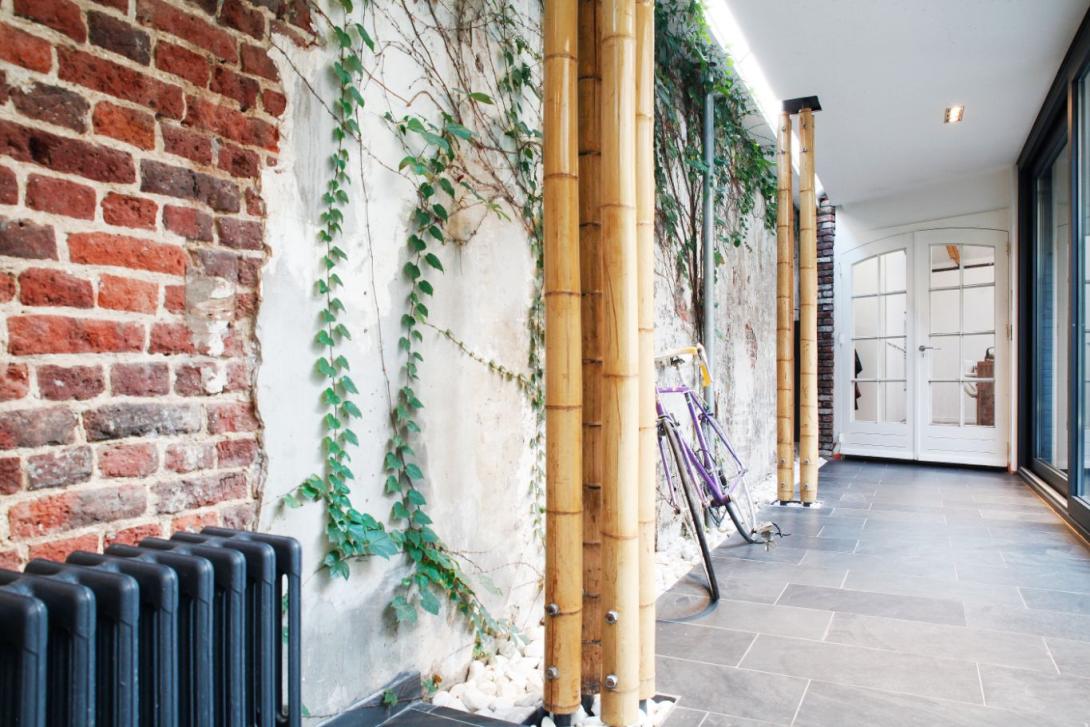 Waarom bamboe het bouwmateriaal van de toekomst is | Renoscripto